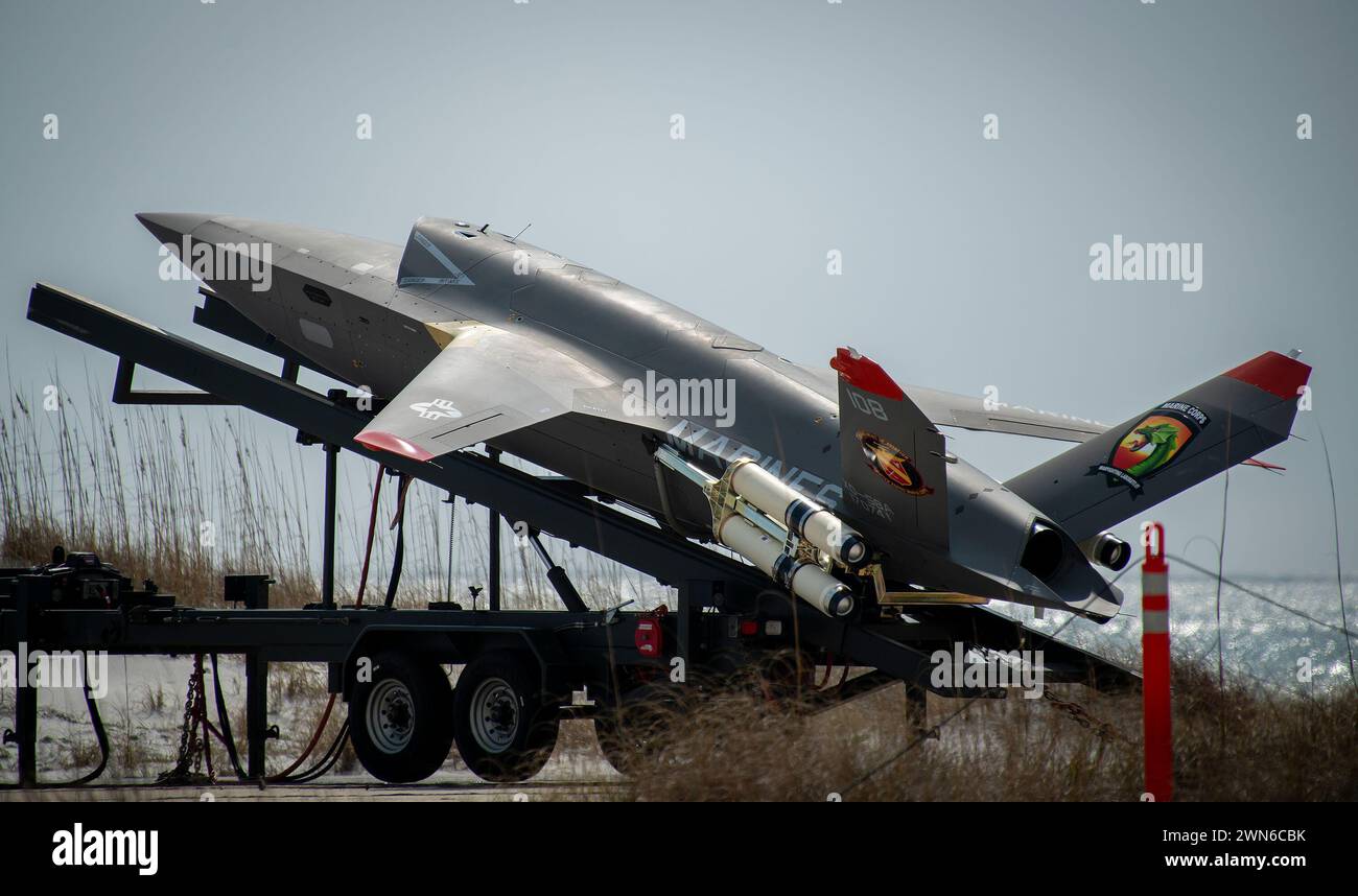 A U.S. Marine Corps XQ-58A Valkyrie, highly autonomous, low-cost ...