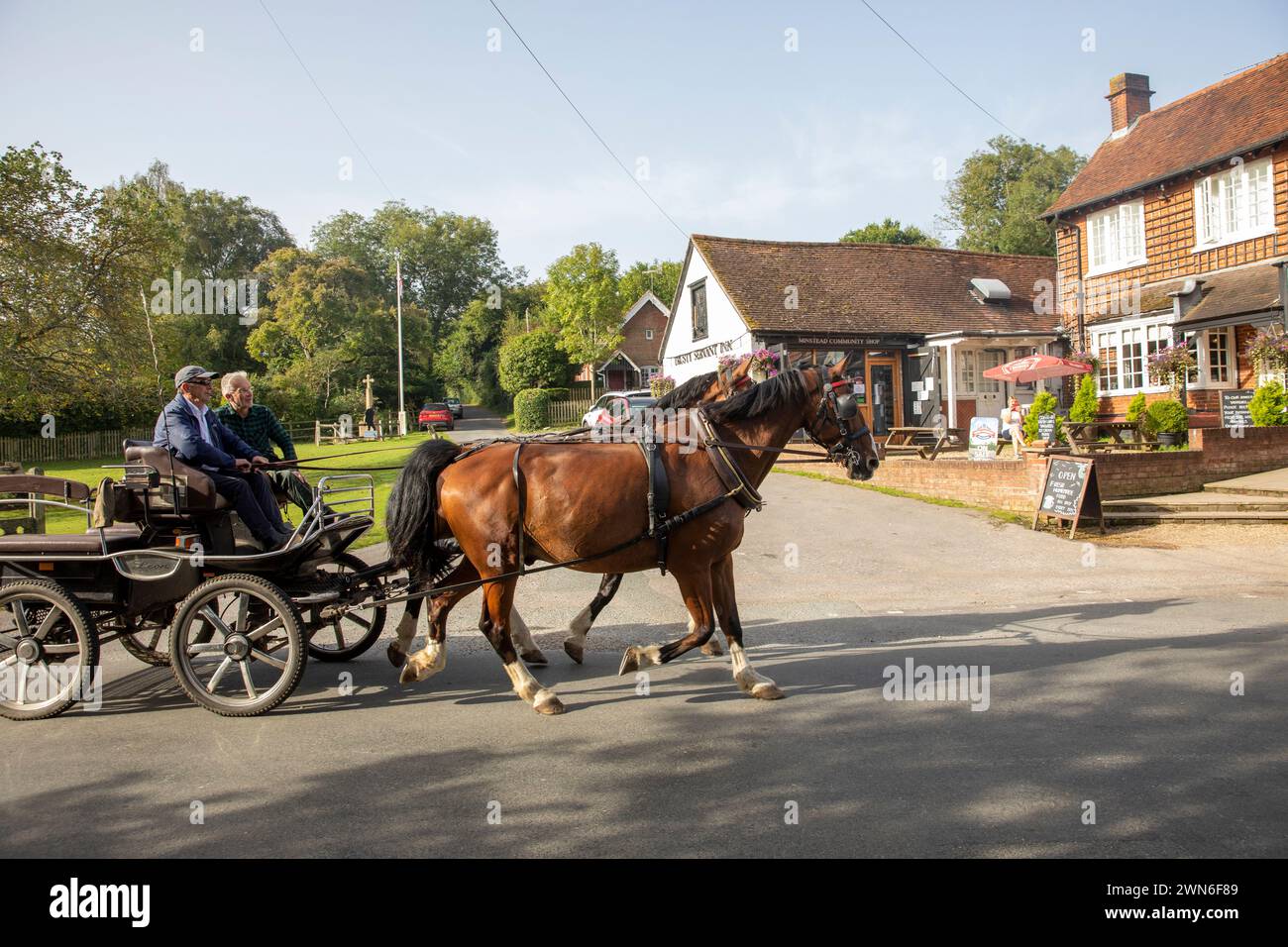 Minstead New Forest village, two elderly men on a horse drawn cart ...