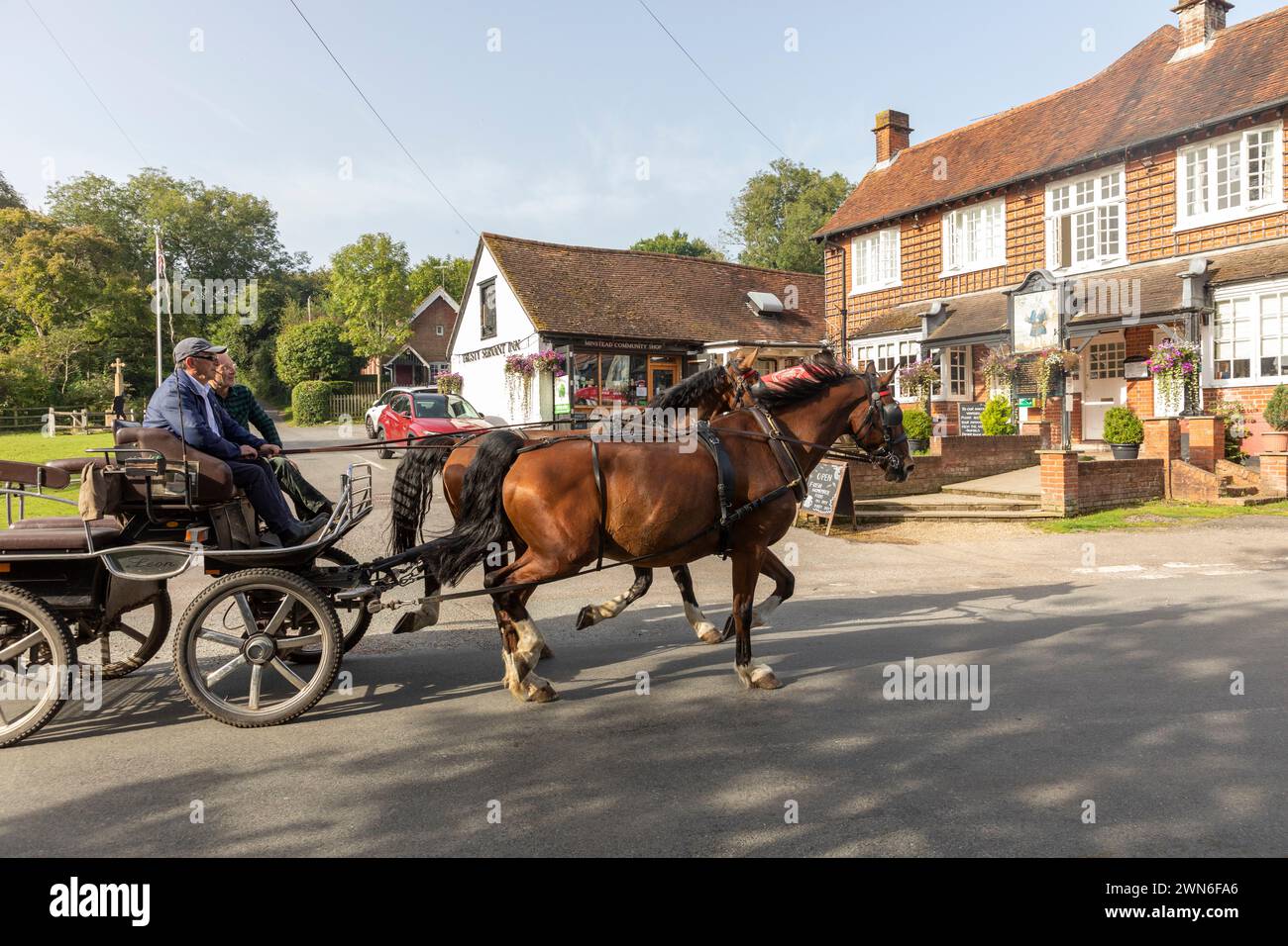 Minstead New Forest village, two elderly men on a horse drawn cart ...