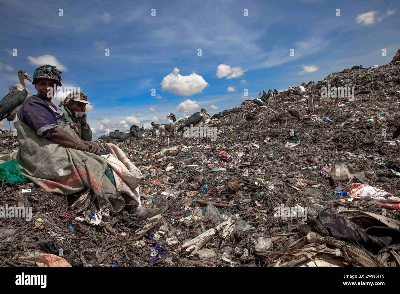Nairobi, KENYA. 28th Feb, 2024. Waste collectors and Marabou Stock ...