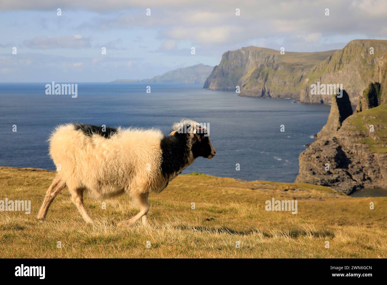Beautiful scenery of the Faroe islands, Bosdalafossur Stock Photo - Alamy