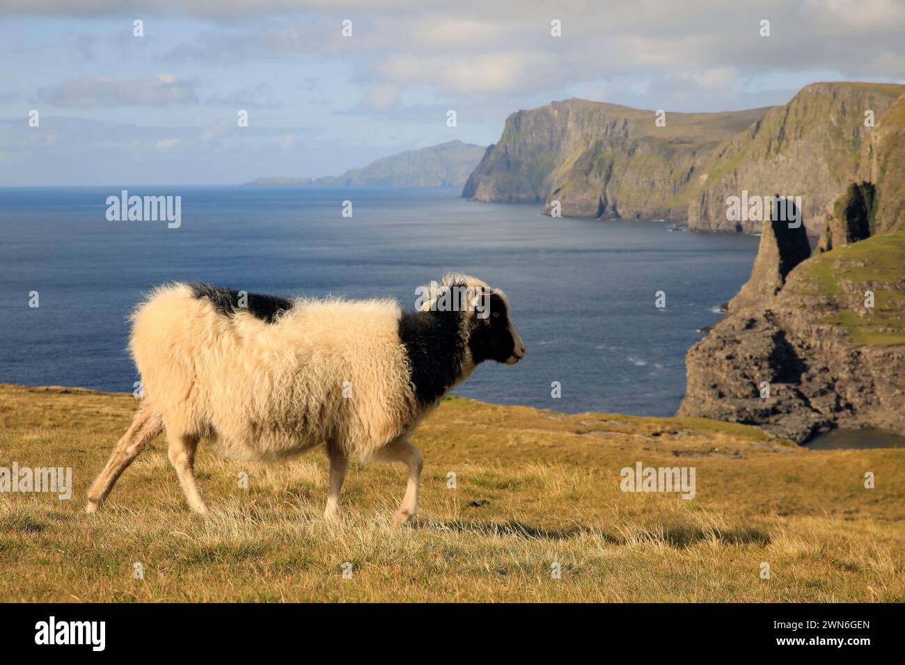 Beautiful scenery of the Faroe islands, Bosdalafossur Stock Photo - Alamy
