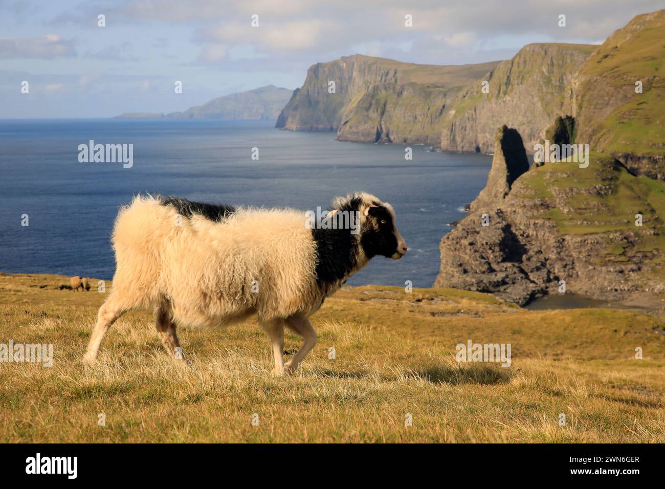 Beautiful scenery of the Faroe islands, Bosdalafossur Stock Photo - Alamy