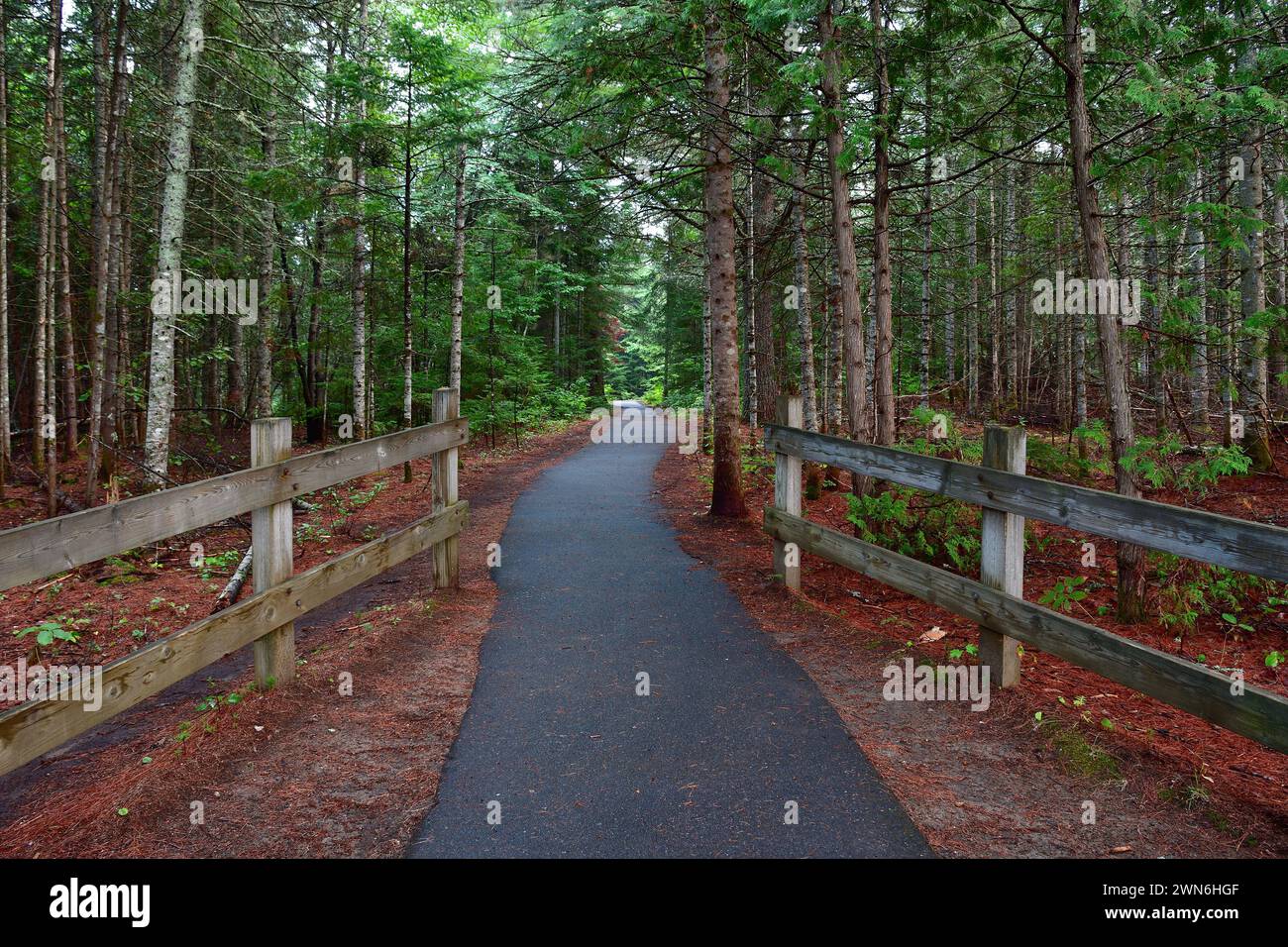 Pathway across hi-res stock photography and images - Alamy