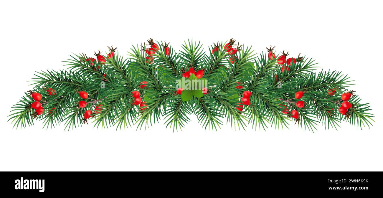 Mistletoe pine tree branches Cut Out Stock Images & Pictures - Alamy