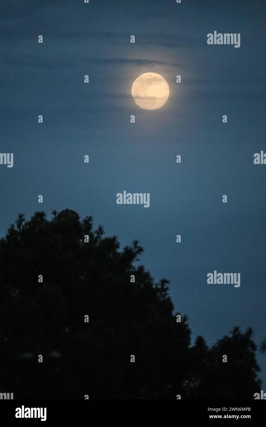Full moon over some trees on a cloudy night from a yard in Gibert ...