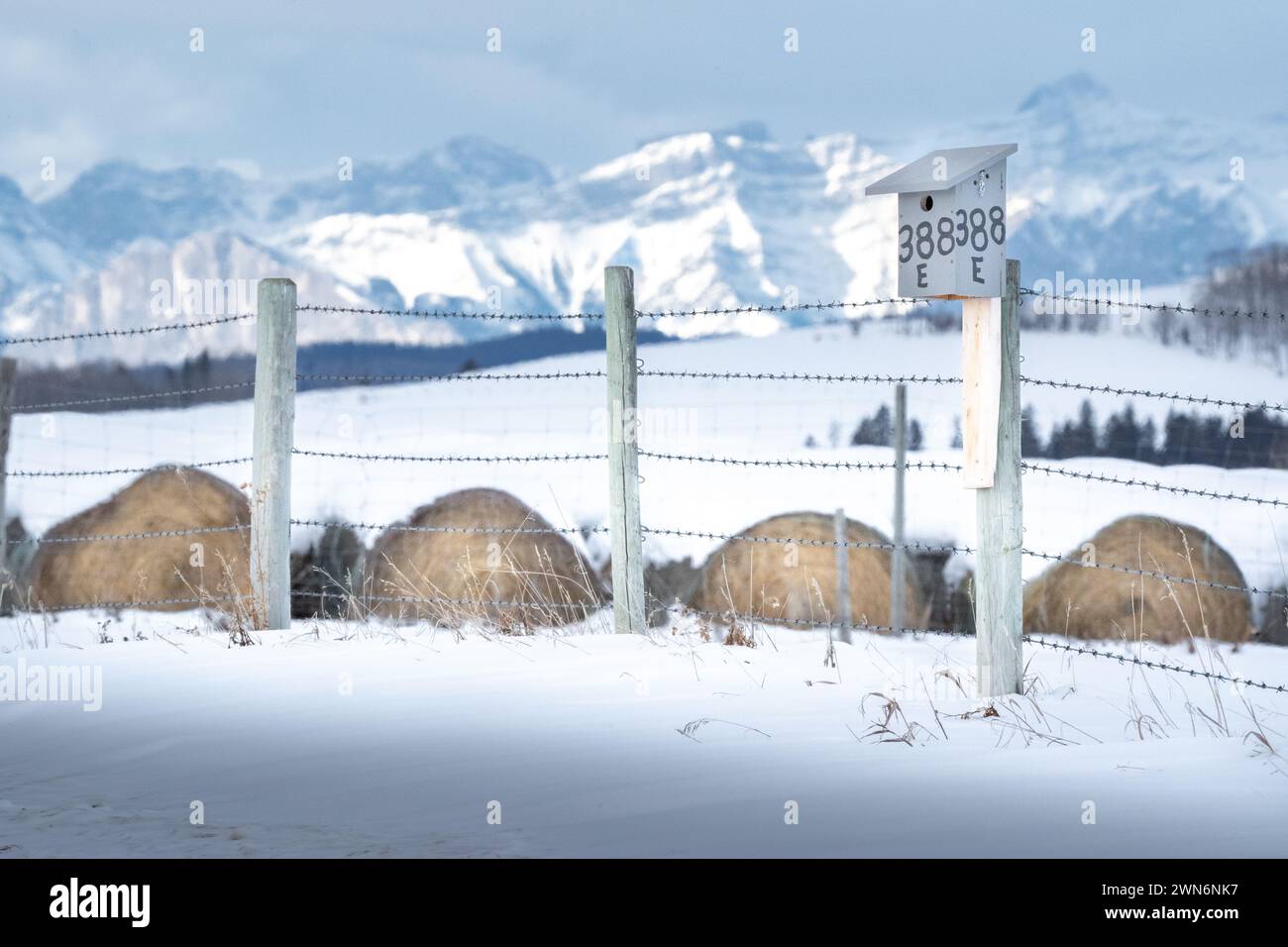 Rocky View County Alberta Canada, February 14 2024: Bird house mounted ...