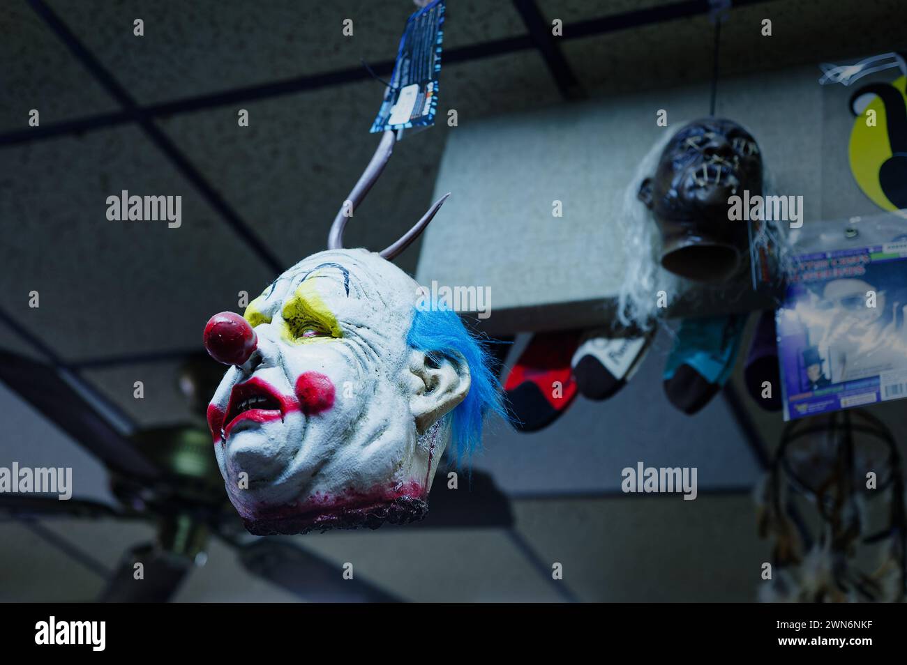 Salem, Massachusetts - A severed clown head with a bright red nose ...