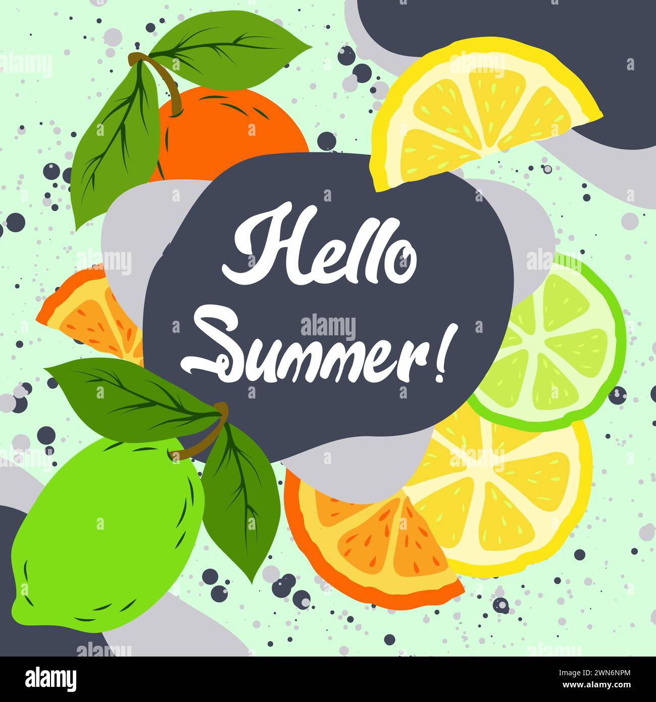 Concept of seasonal recreation in tropical countries. Hello Summer web ...