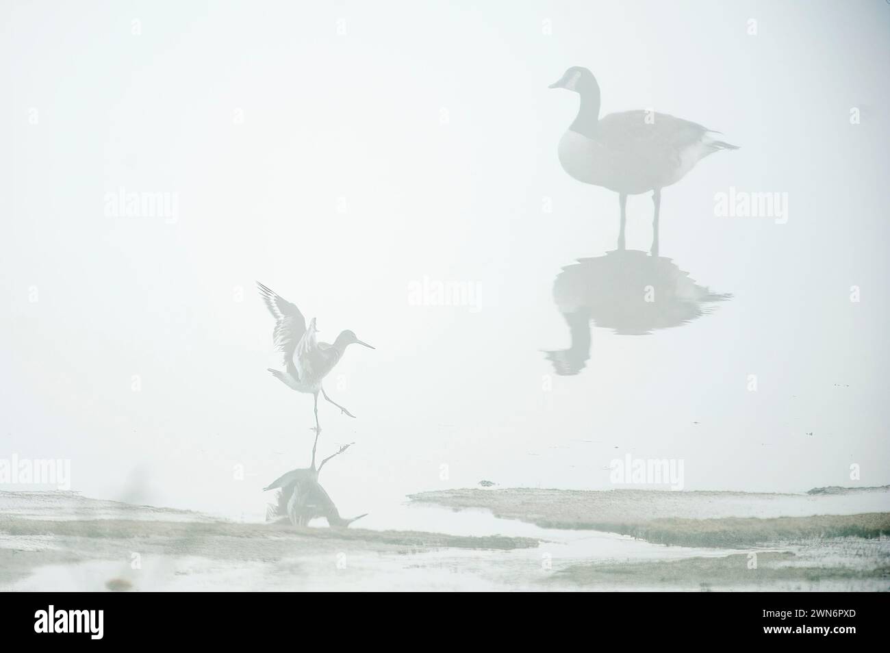 Size comparison hi-res stock photography and images - Alamy