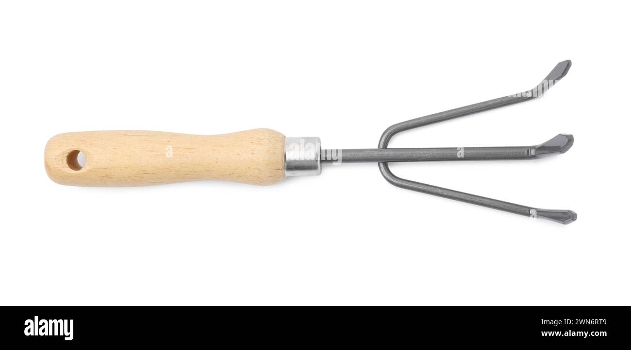 One rake isolated on white, top view. Gardening tool Stock Photo - Alamy