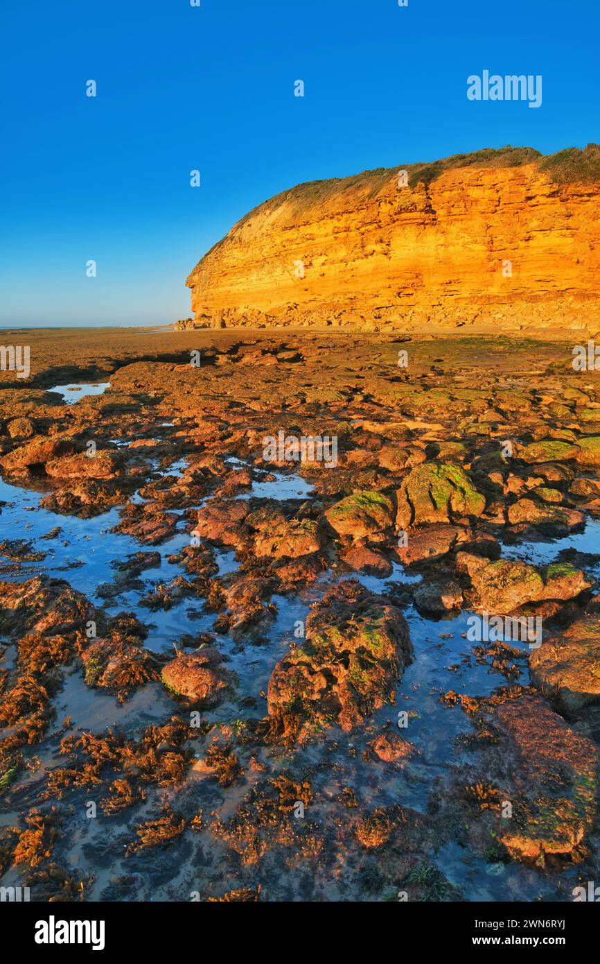 The tall limestone headland and rocky beach at low tide, Bells Beach ...