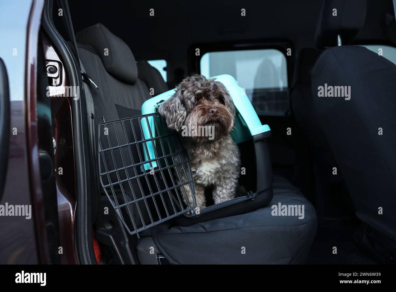 Cute dog in pet carrier travelling by car. Safe transportation Stock ...