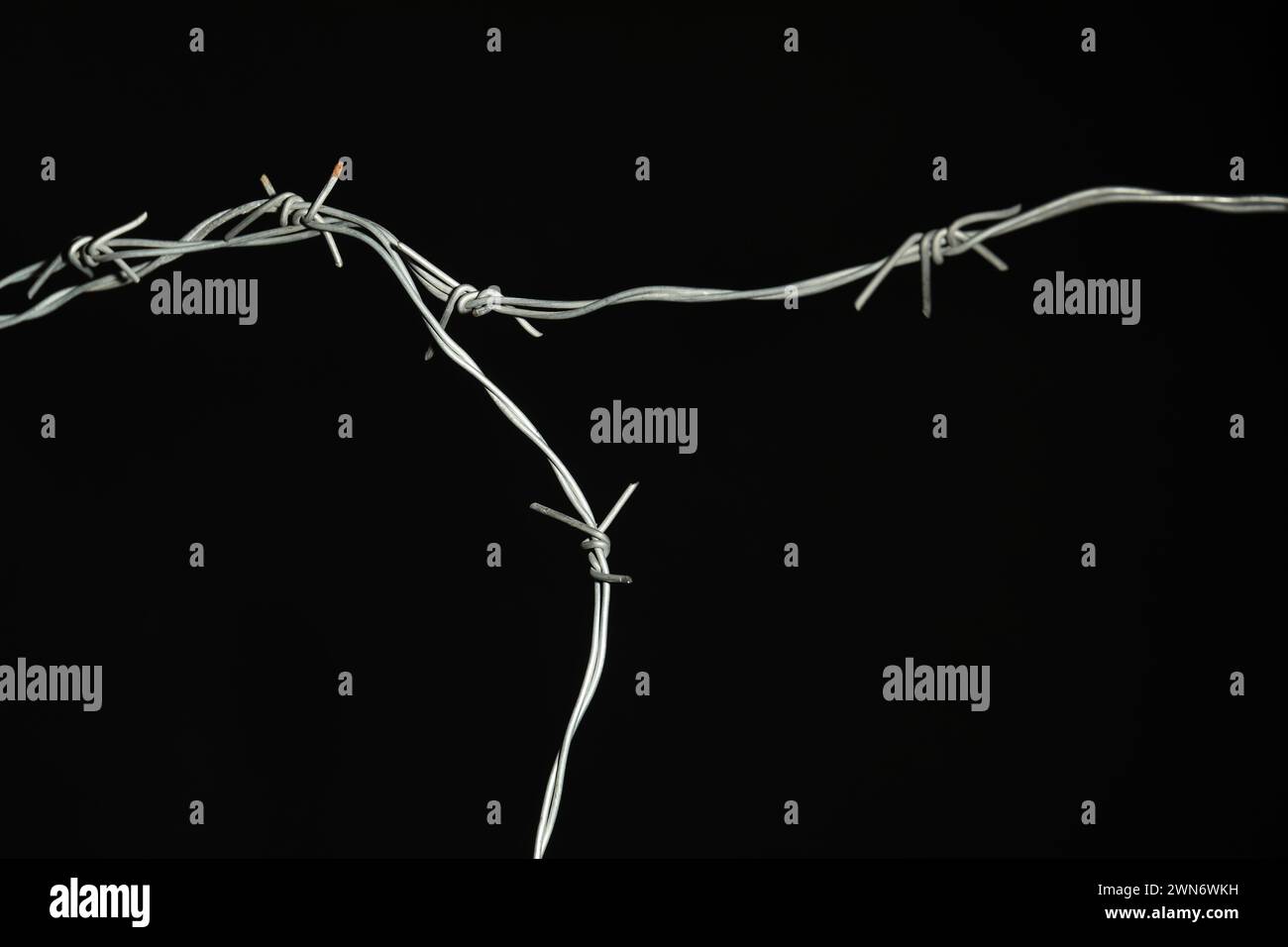 Shiny metal barbed wire on black background Stock Photo - Alamy