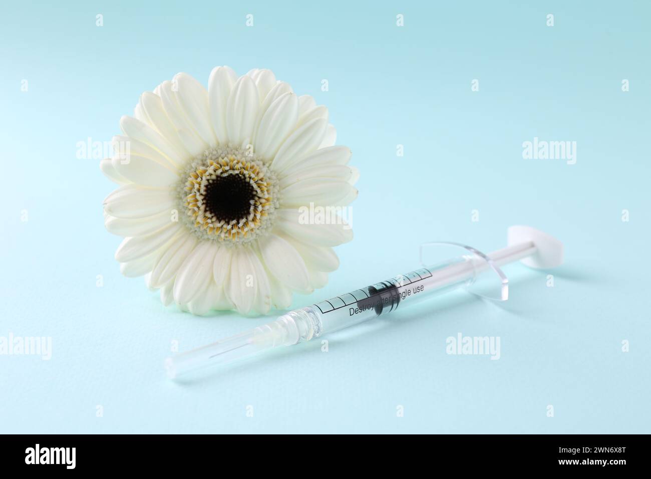 Cosmetology. Medical syringe and gerbera flower on light blue ...