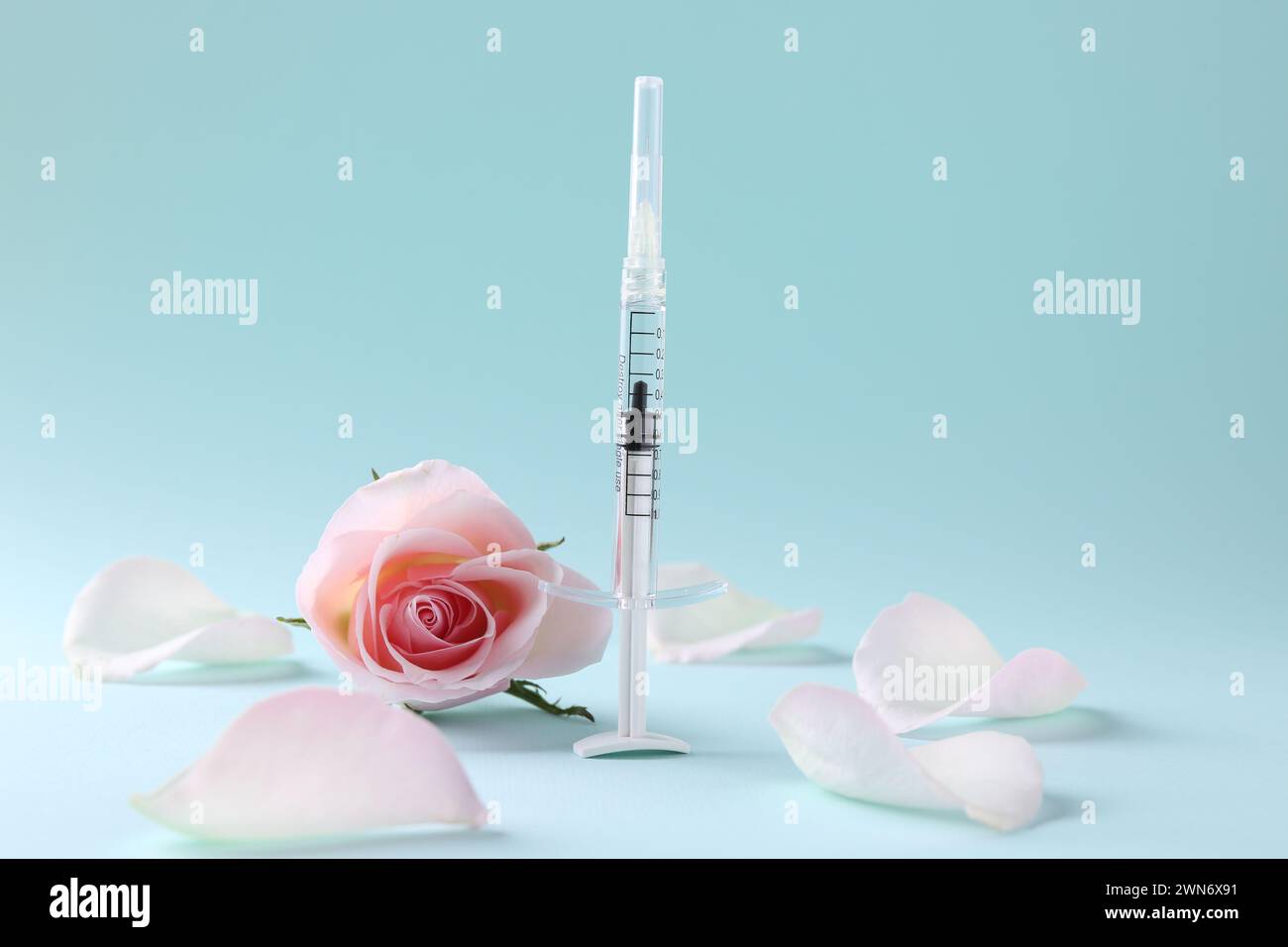 Cosmetology. Medical syringe, rose flower and petals on light blue ...