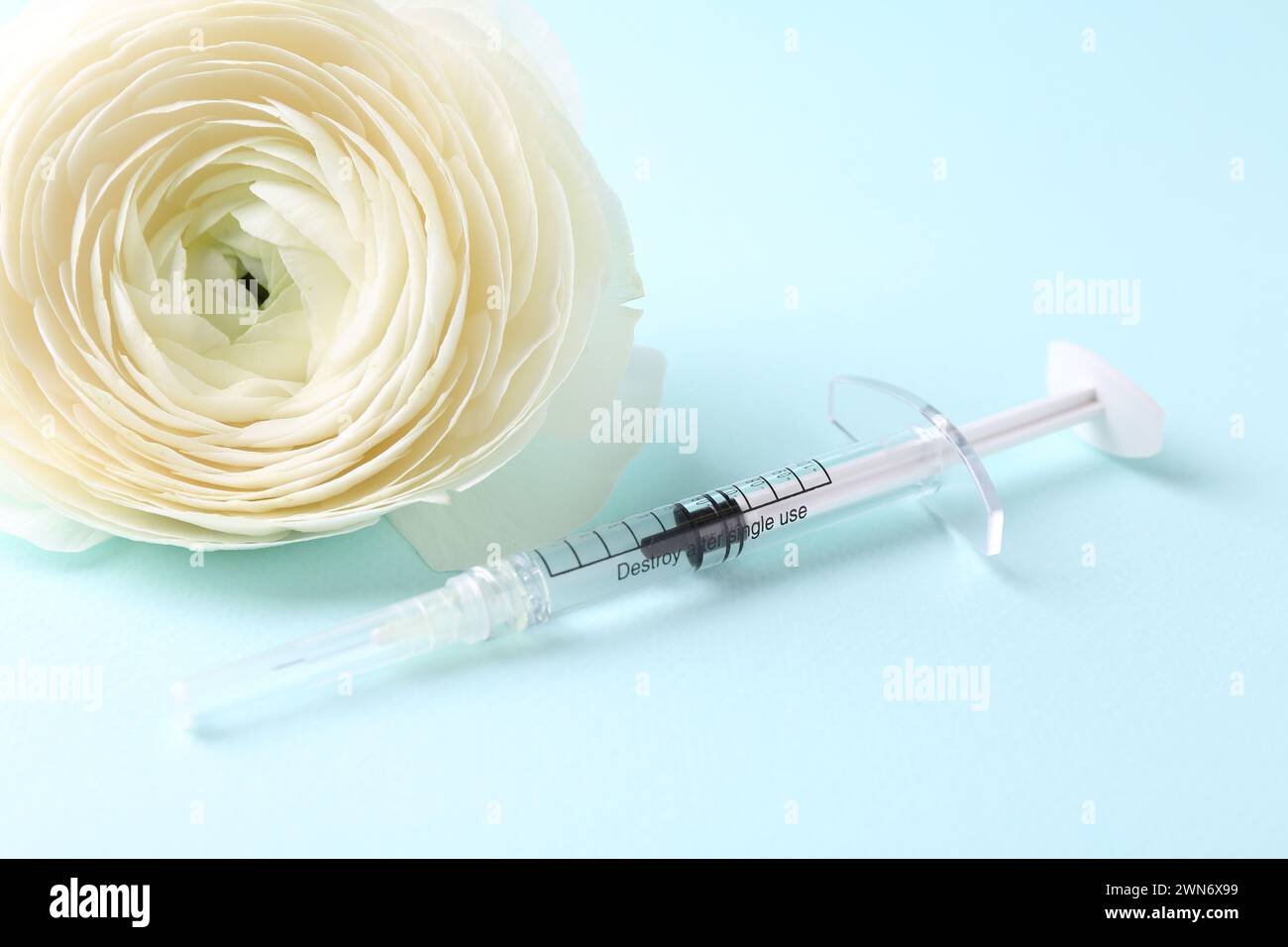 Cosmetology. Medical syringe and ranunculus flower on light blue ...