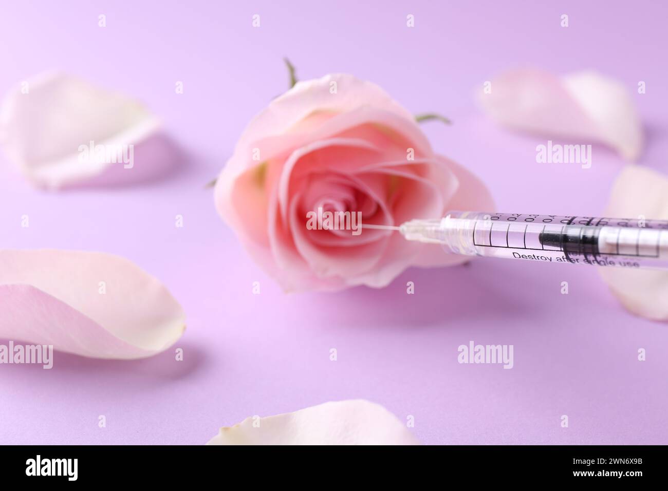 Cosmetology. Medical syringe, rose flower and petals on pink background ...