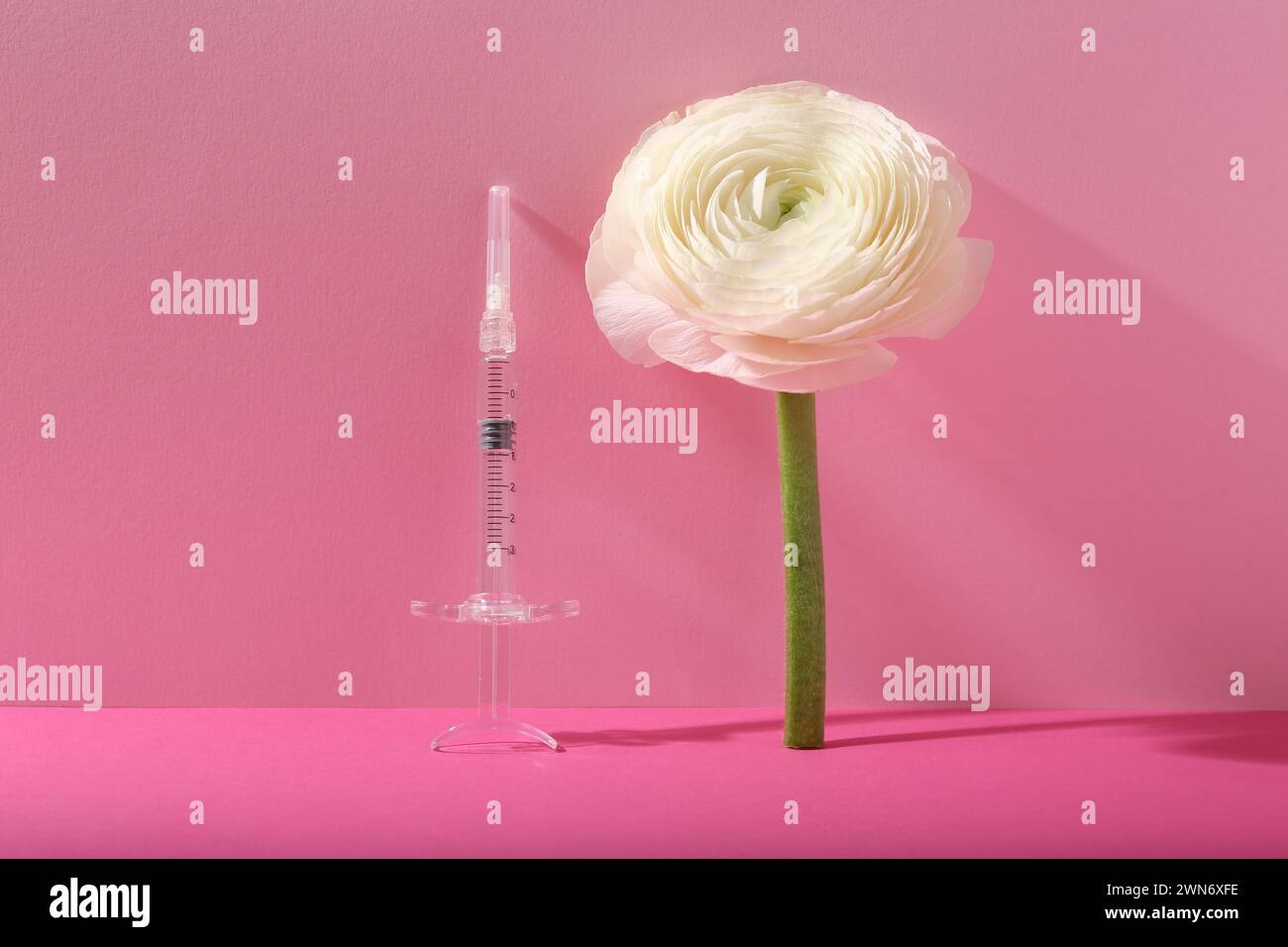 Cosmetology. Medical syringe and ranunculus flower on pink background ...