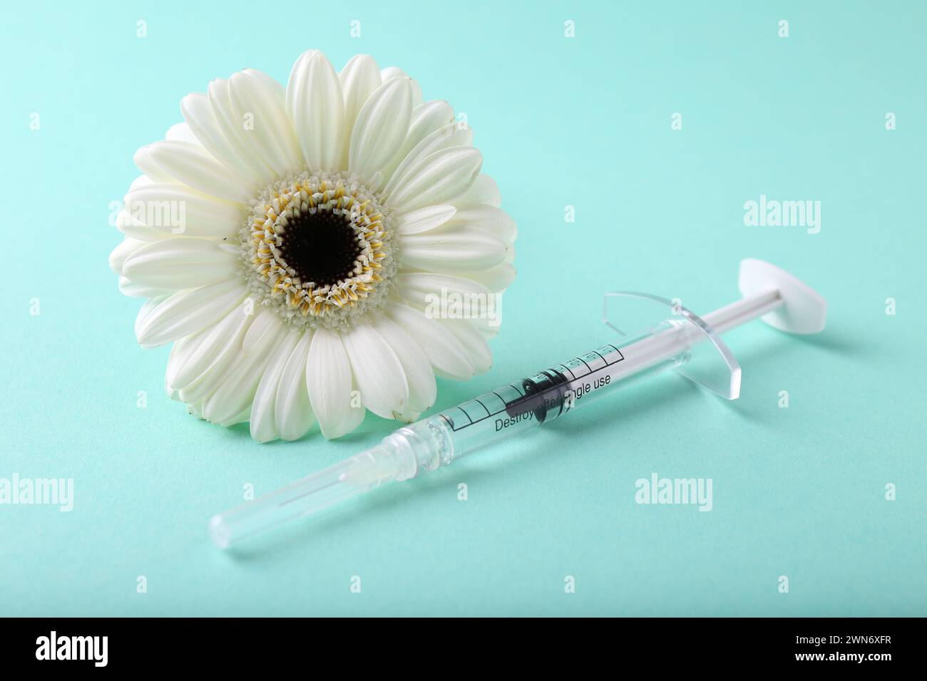 Cosmetology. Medical syringe and gerbera flower on turquoise background ...