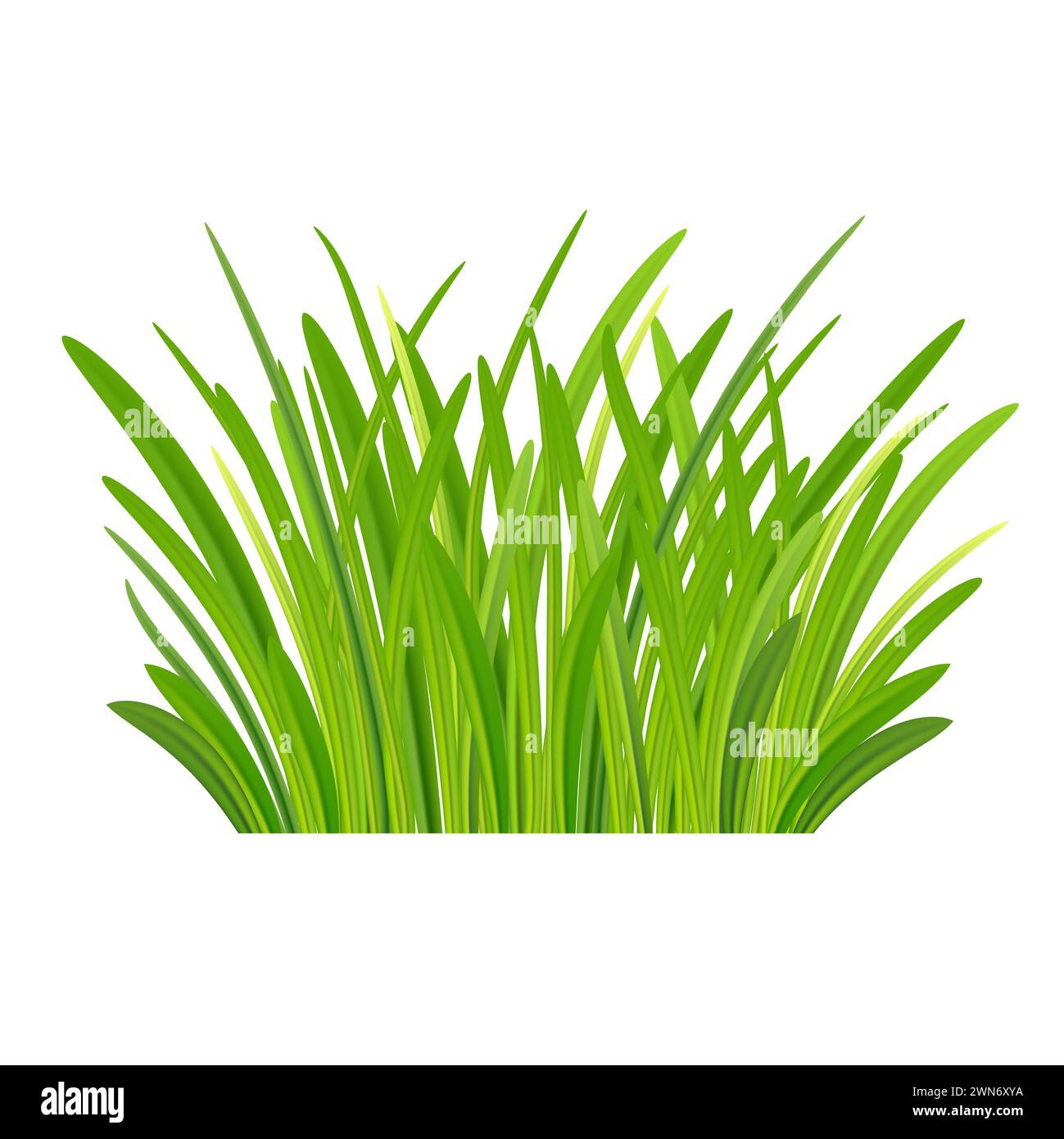 Banner of the grass field . for add text and abstract background ...