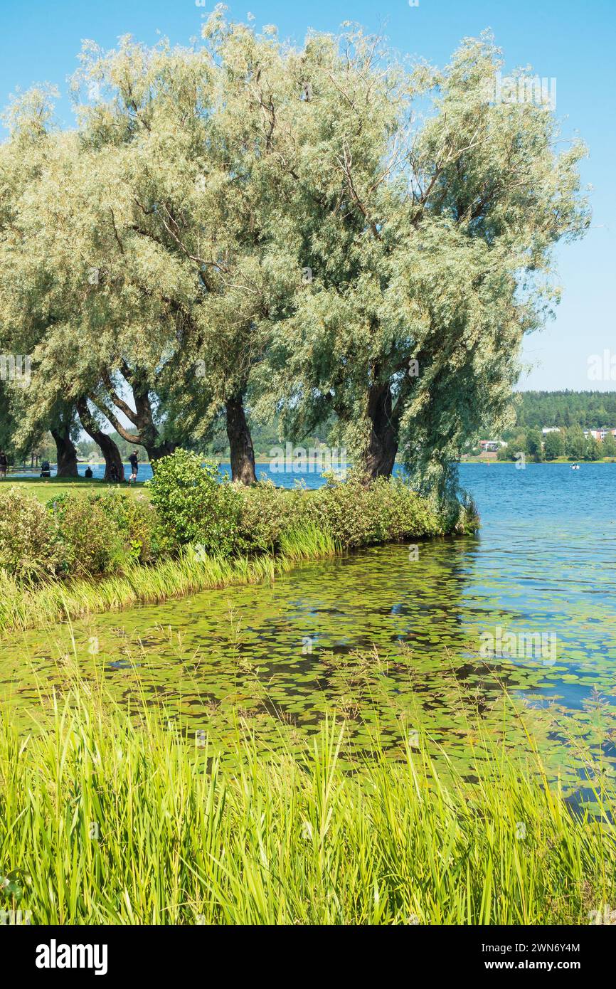 Vanaja lake hi-res stock photography and images - Alamy