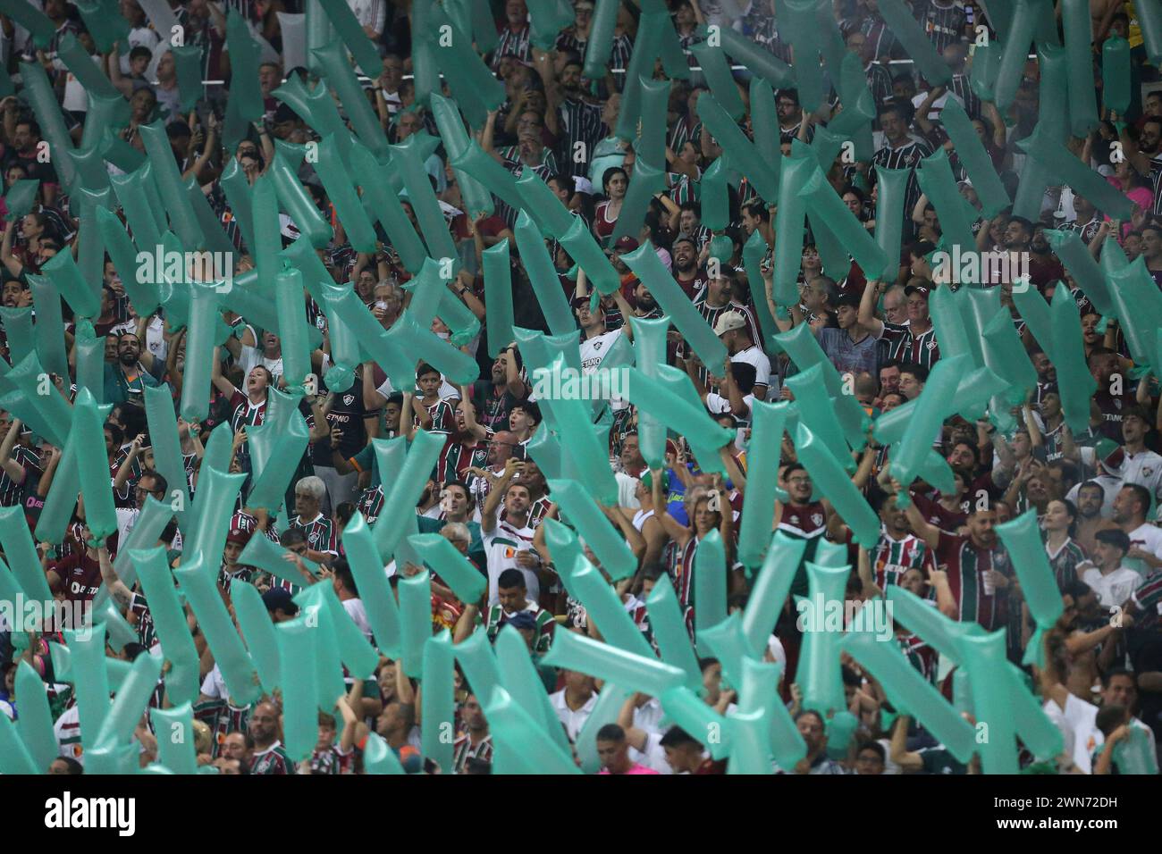 Rio de Janeiro, Brazil. 29th Feb, 2024. Fluminense fans, during the ...