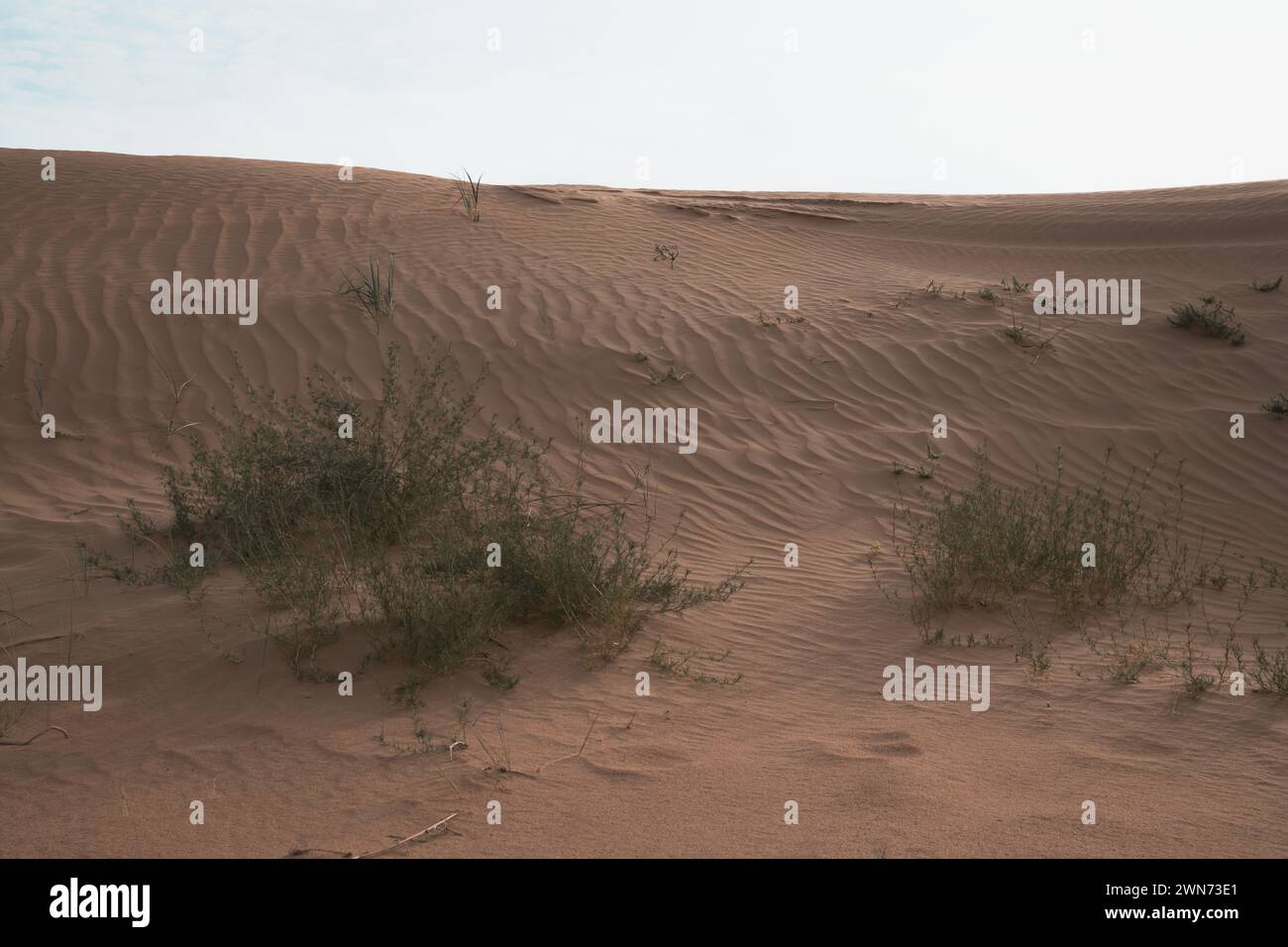 Tengri desert hi-res stock photography and images - Alamy