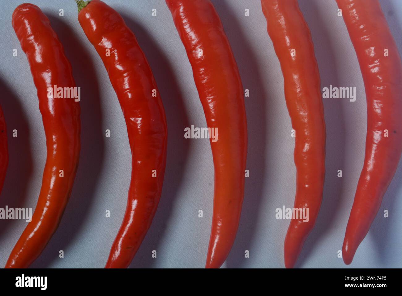 Scene of the red chili which looks very hot against a white background ...