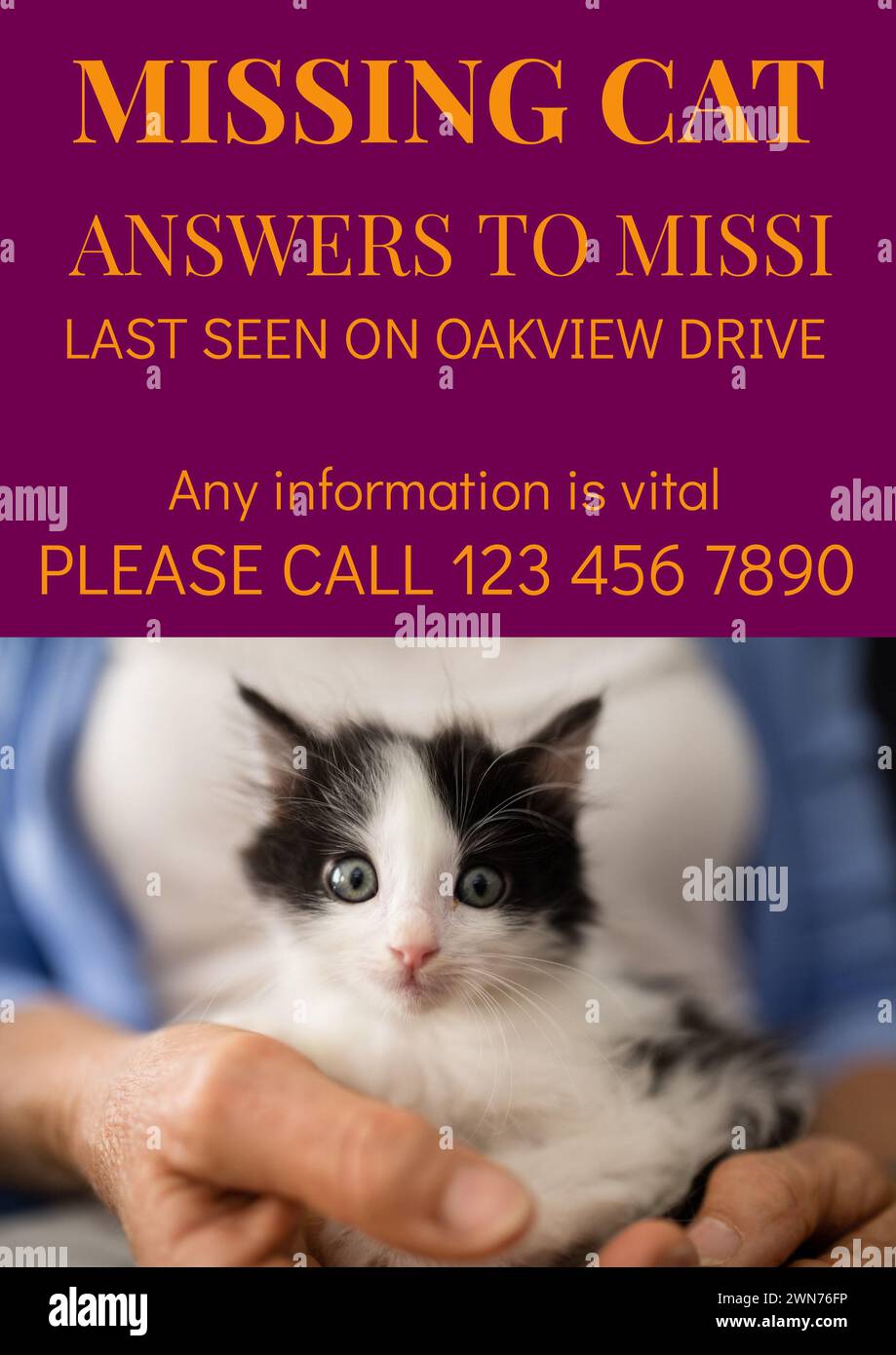 Composition of poster with missing cat text over owner holding cat on ...