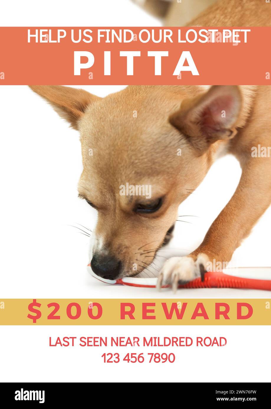 Composition of help us find our lost pet pitta text over dog on white ...