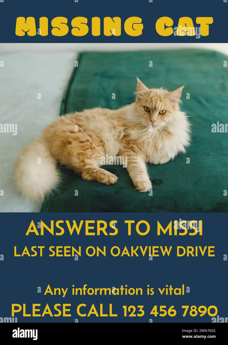 Composition of poster with missing cat text over cat lying on bed on ...