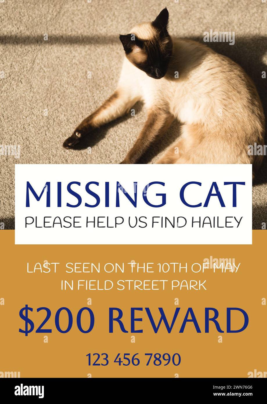 Composition of poster with missing cat text over cat on orange ...