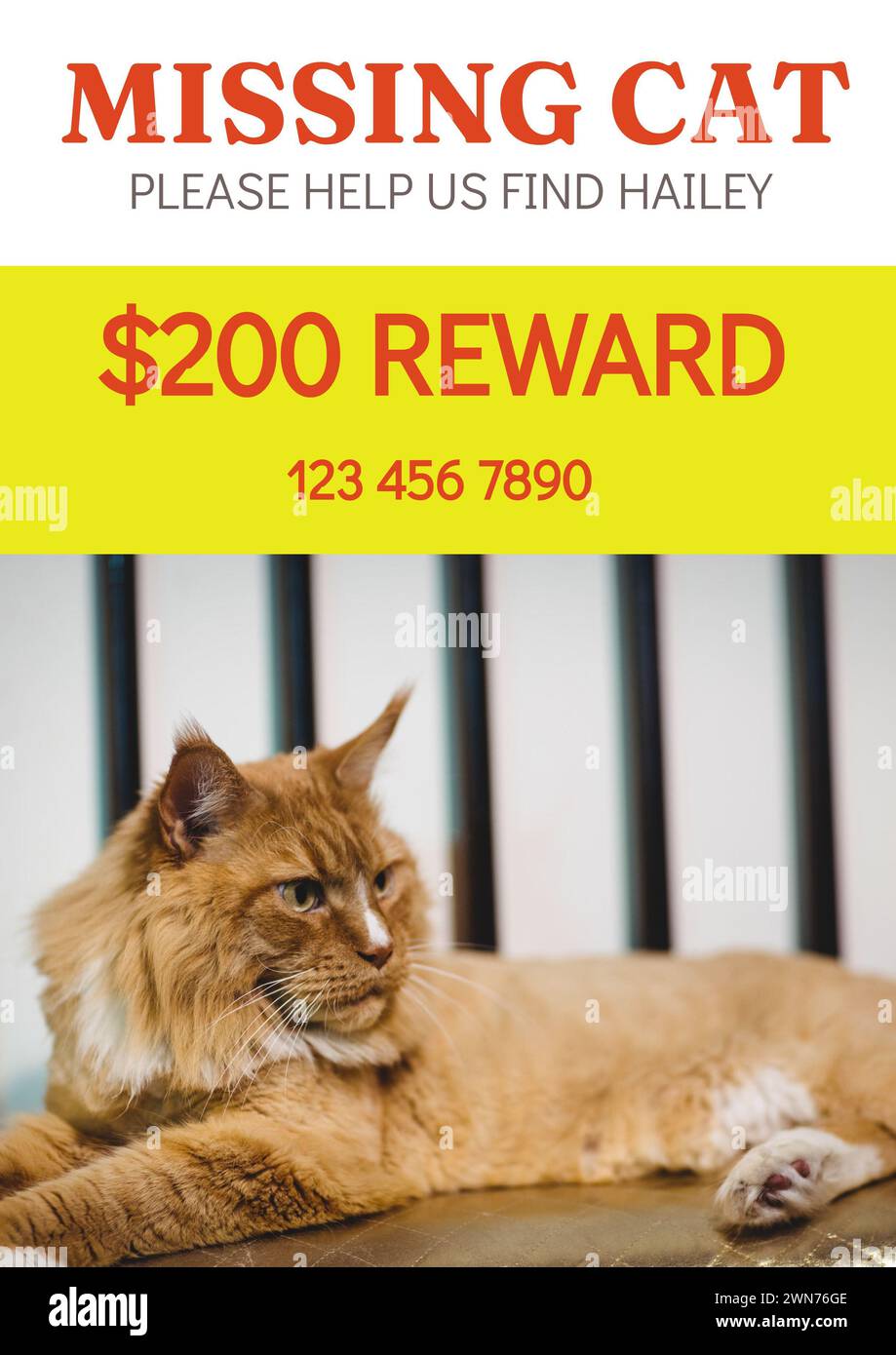 Composition of poster with missing cat text over cat on white ...