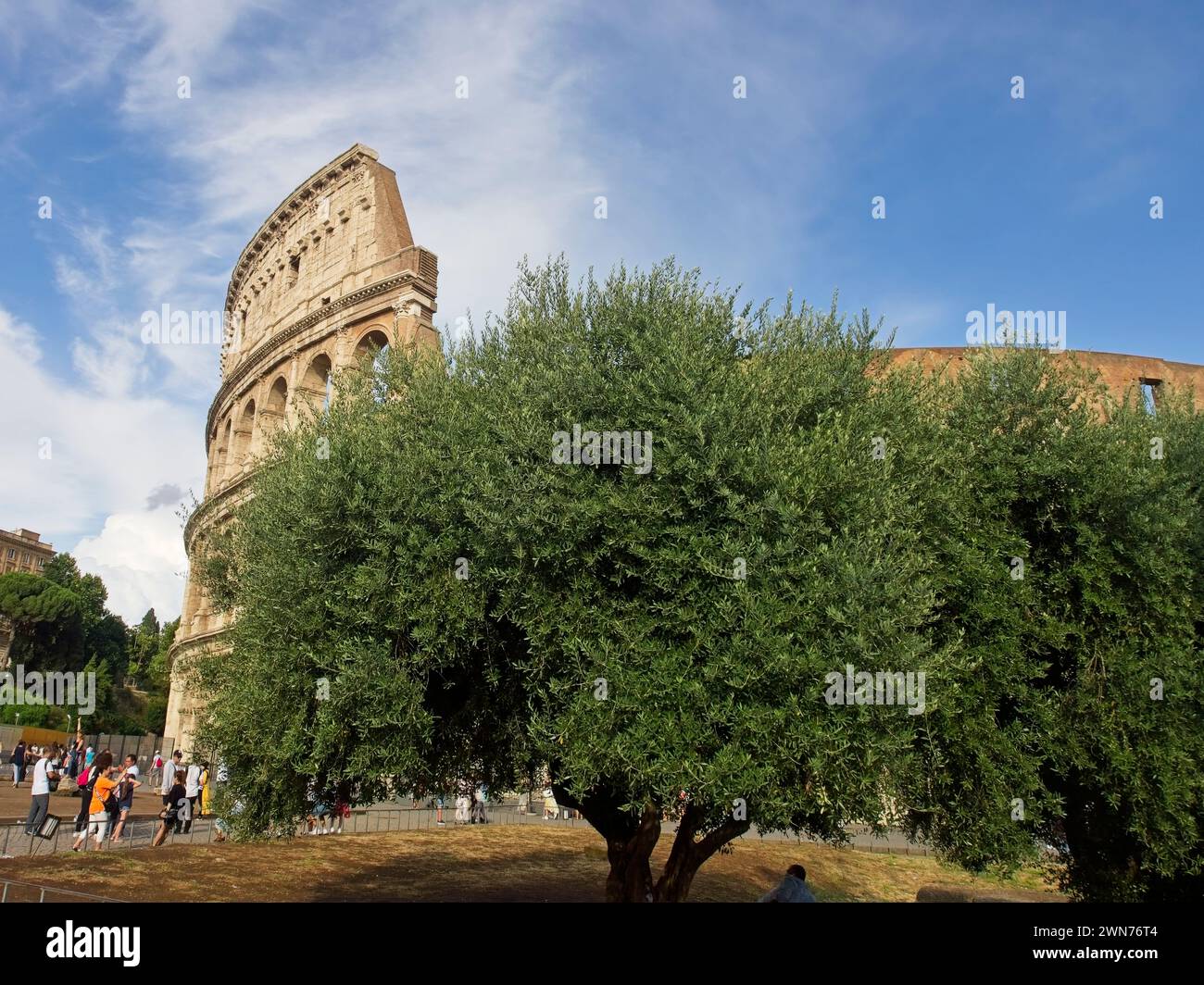 Coliseo building hi-res stock photography and images - Alamy