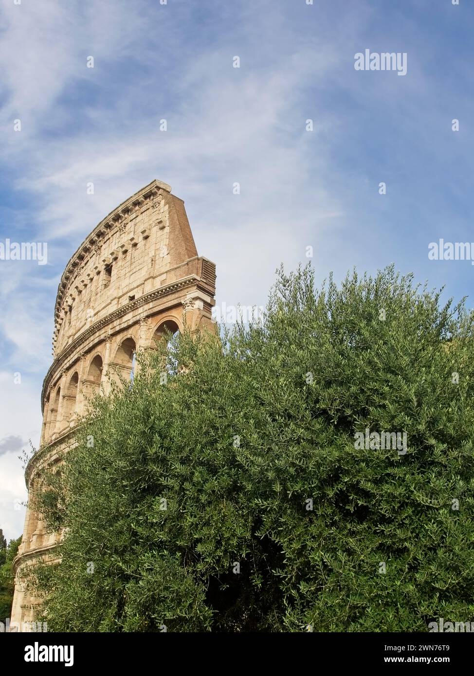 Coliseo building hi-res stock photography and images - Alamy