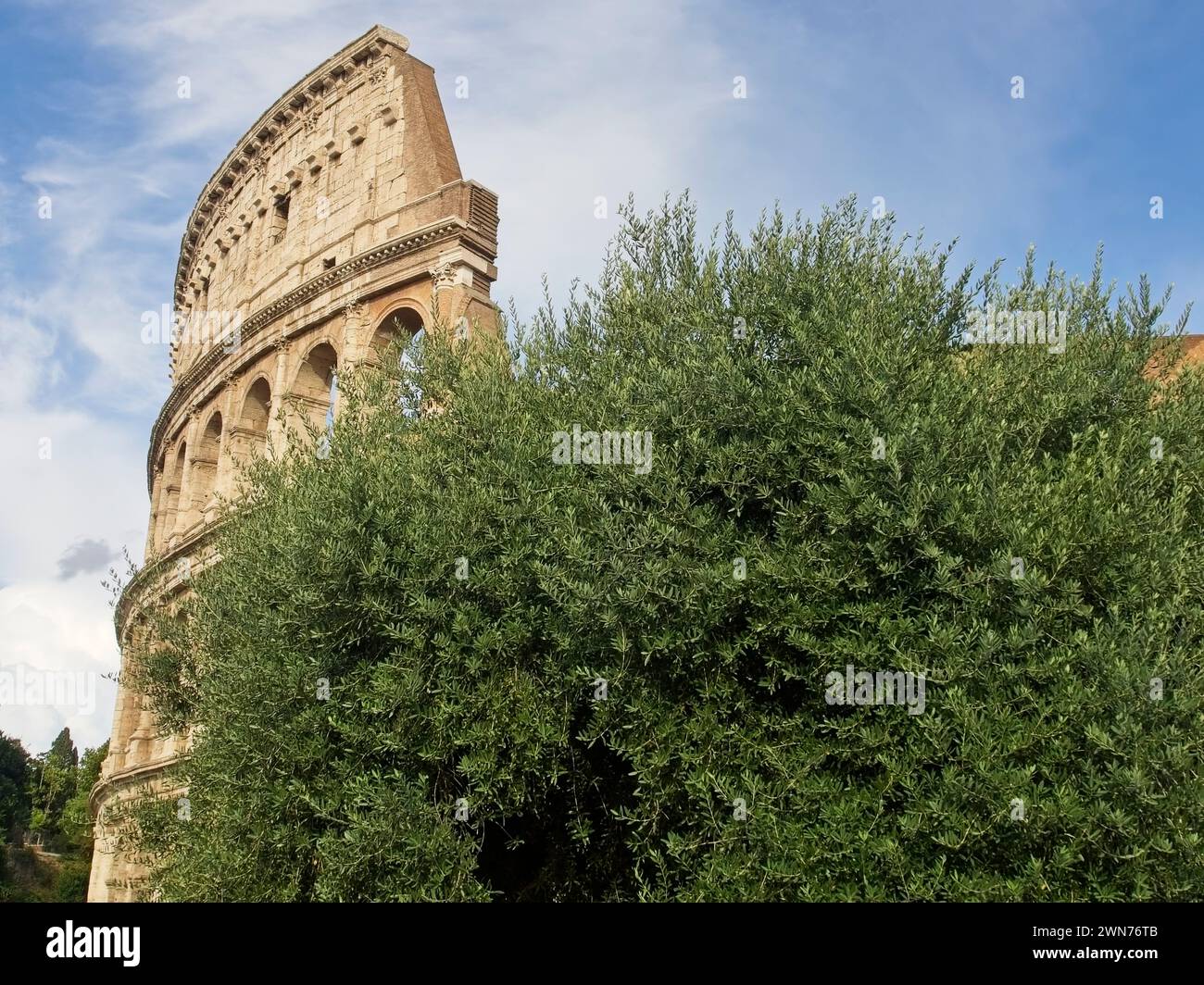 Coliseo coliseo roma hi-res stock photography and images - Alamy