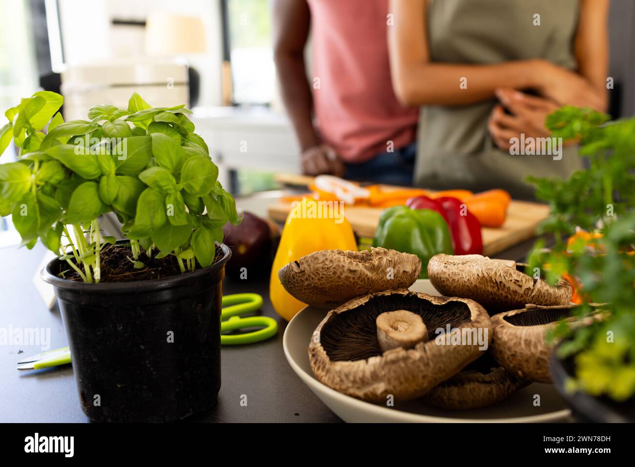 Biracial African American couple stand behind a kitchen counter filled ...