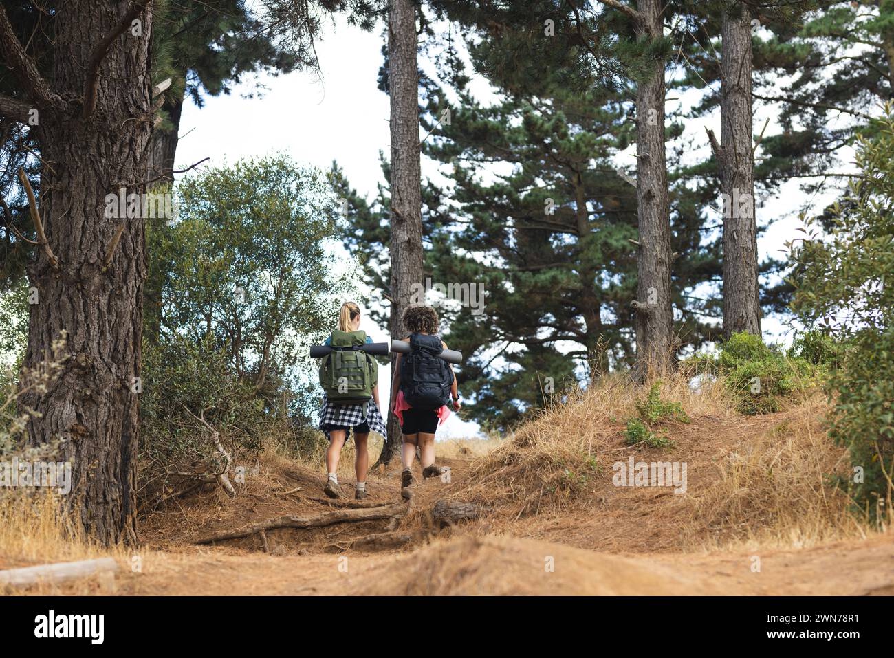 Two women hike along a forest trail, surrounded by tall trees and ...