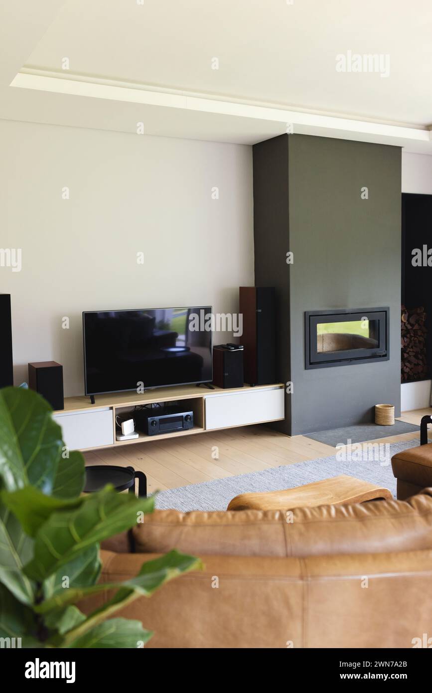 A modern living room features flat-screen tv, a fireplace, and a brown ...