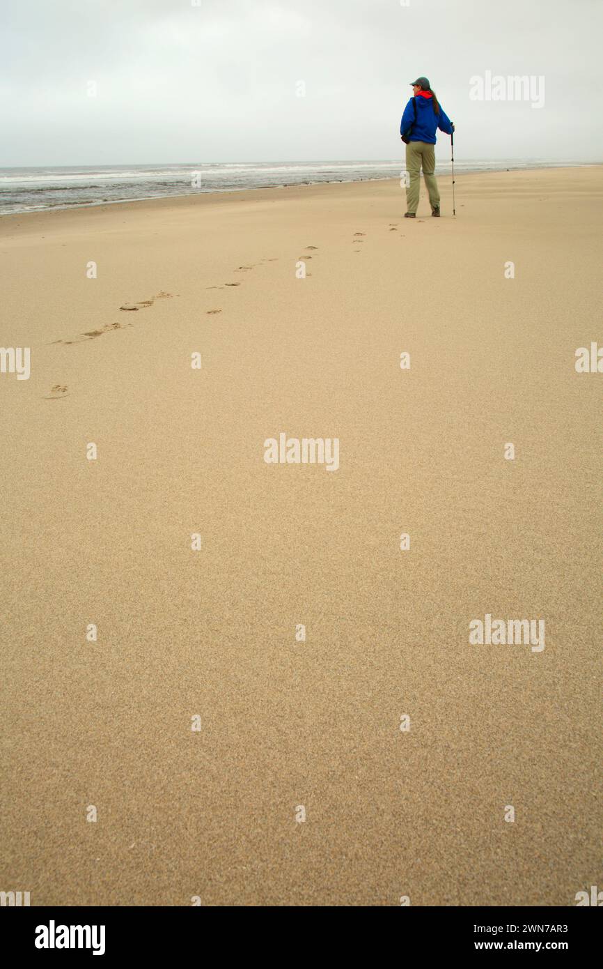 Open beach, Beachside State Park, Oregon Stock Photo - Alamy