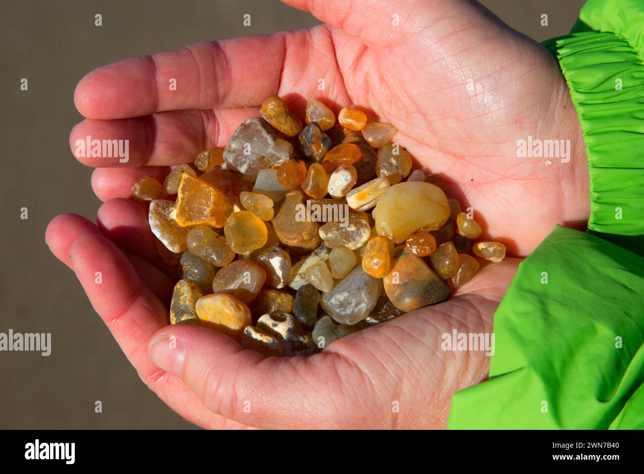 Agates in hand, Gleneden Beach State Park, Lincoln City, Oregon Stock ...
