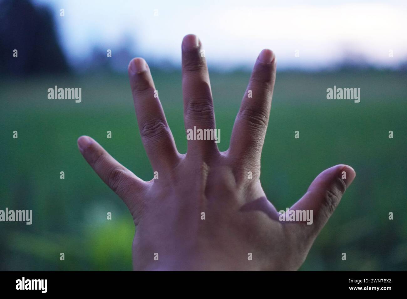 Five fingers gesture. Nature background Stock Photo - Alamy