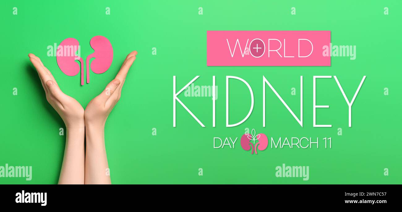 Female hands and paper kidneys on green background. Banner for World ...