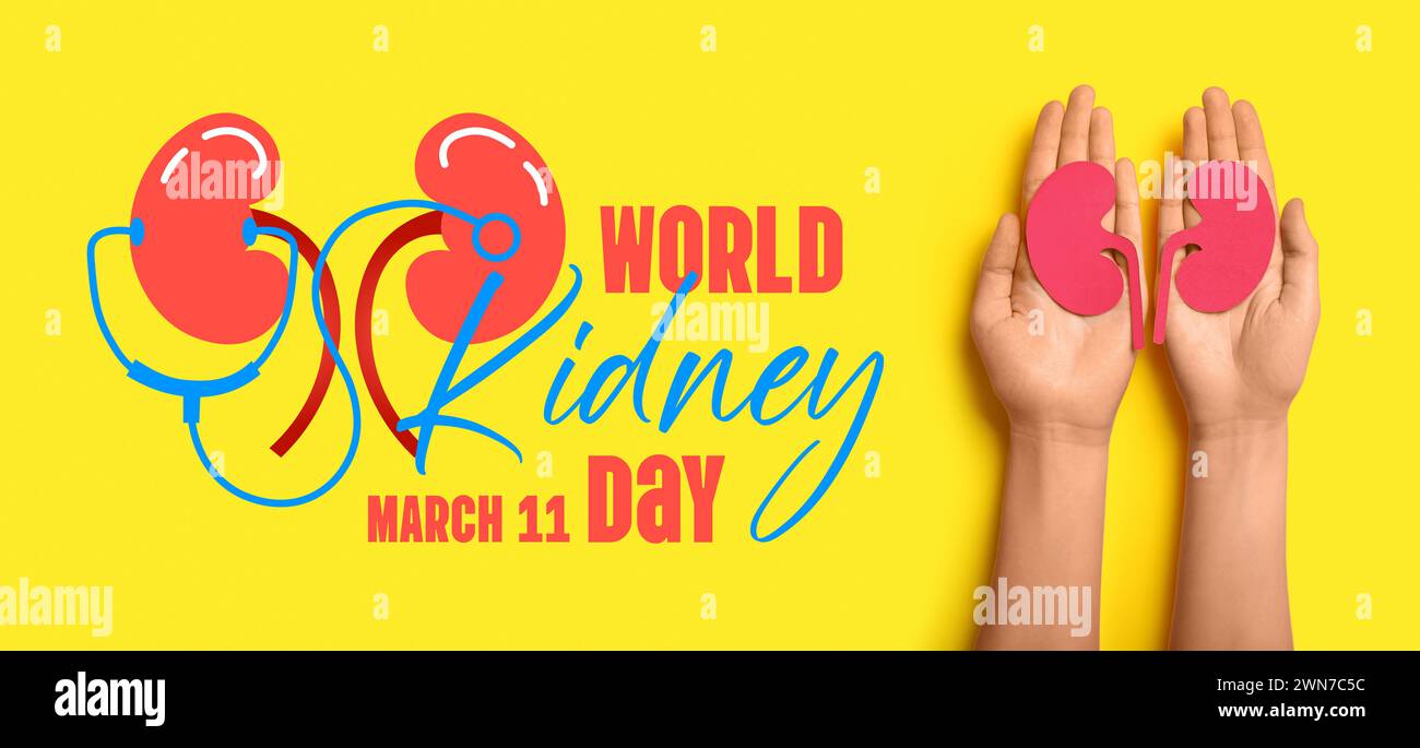 Female hands and paper kidneys on yellow background. Banner for World ...
