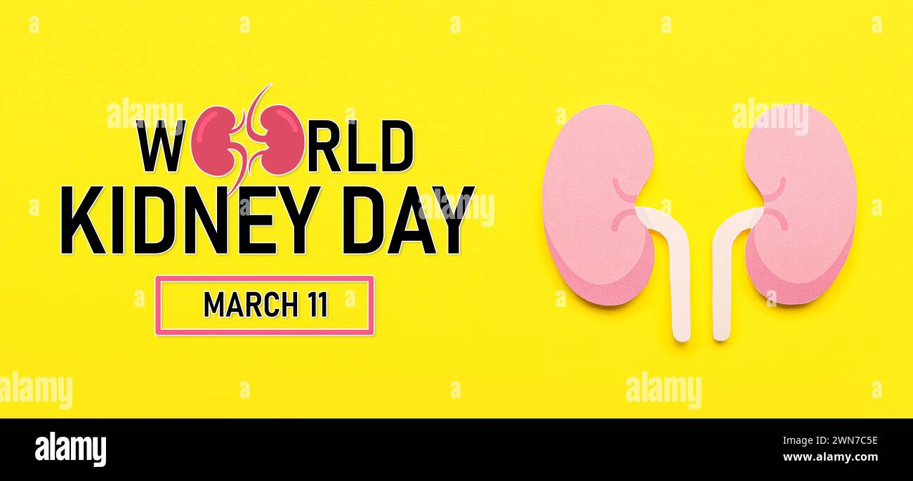 Paper kidneys on yellow background. Banner for World Kidney Day Stock ...