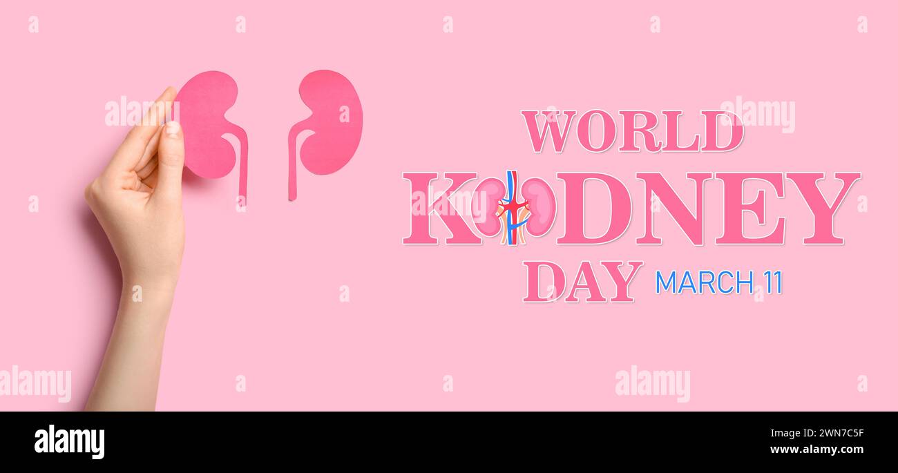 Female hand and paper kidneys on pink background. Banner for World ...