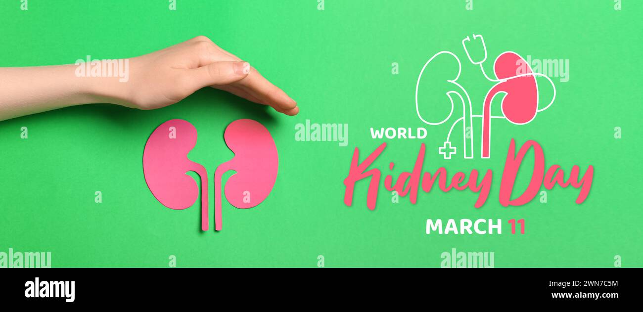 Female hand and paper kidneys on green background. Banner for World ...