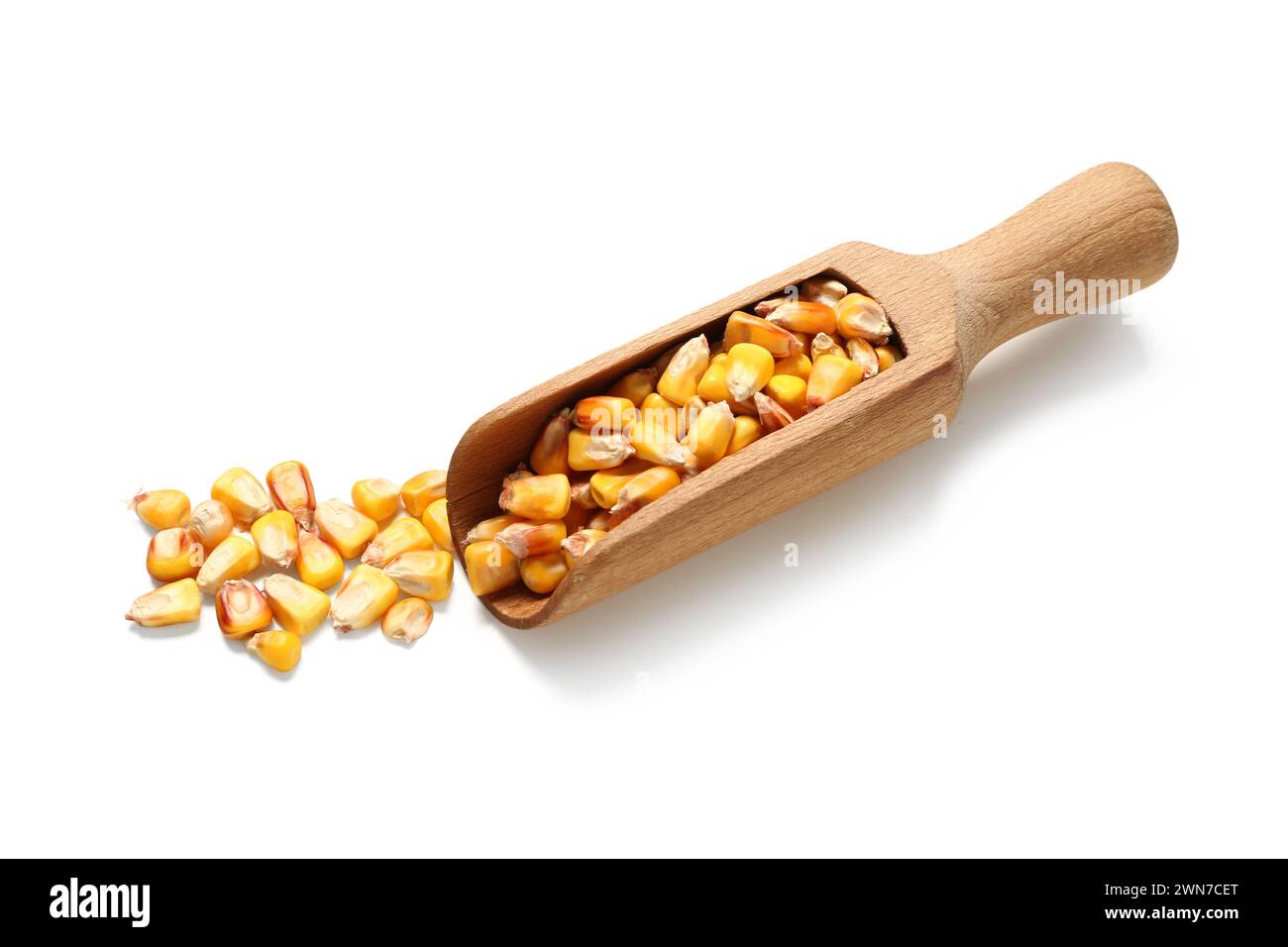 Scoop with corn on white background. Festa Junina (June Festival ...