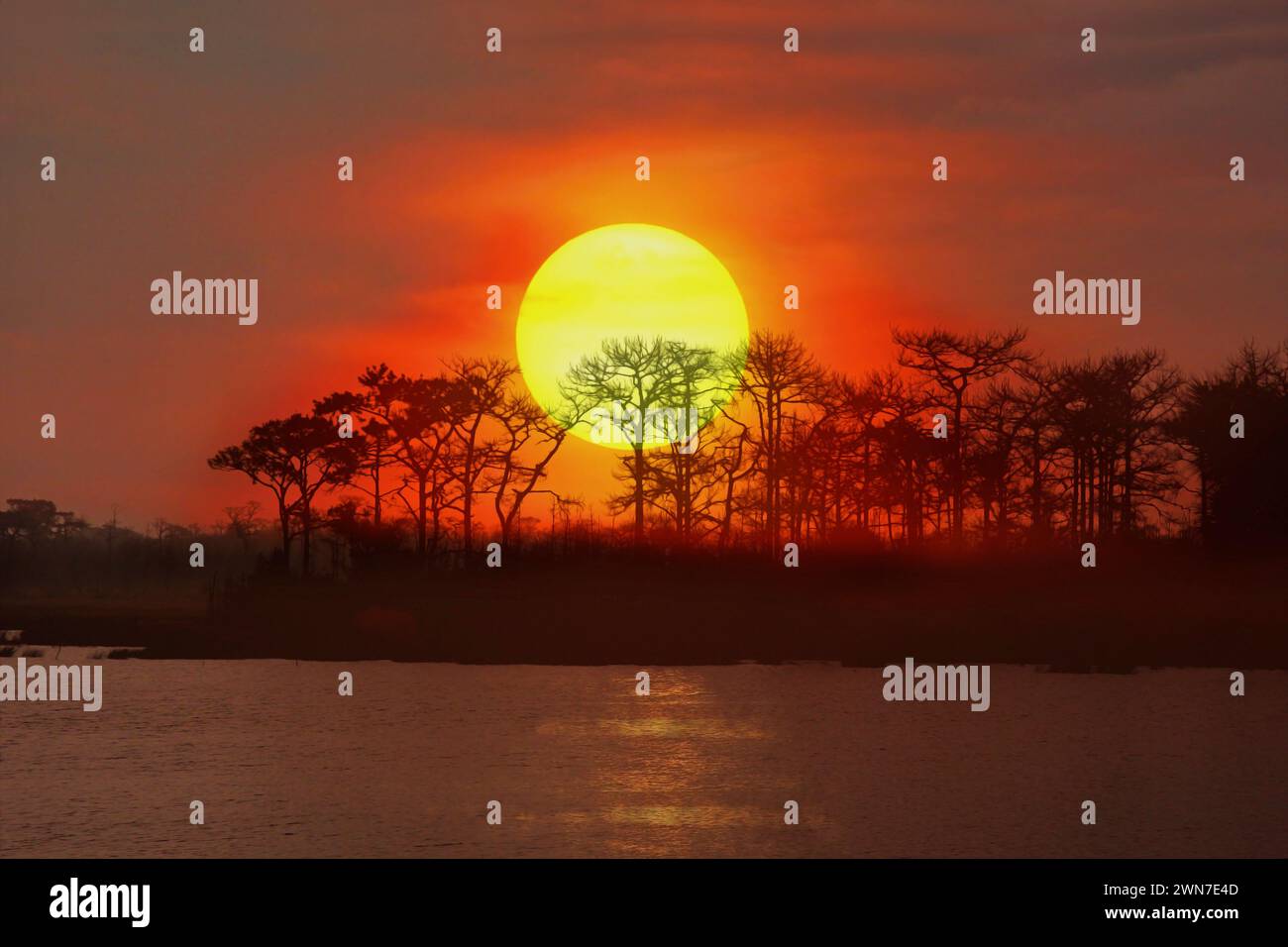 sun set or sun rise view with silhouette tree dramatic sky , abstract ...